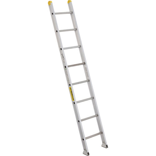 Featherlite Industrial Heavy-Duty Extension/Straight Ladders, 10 ...