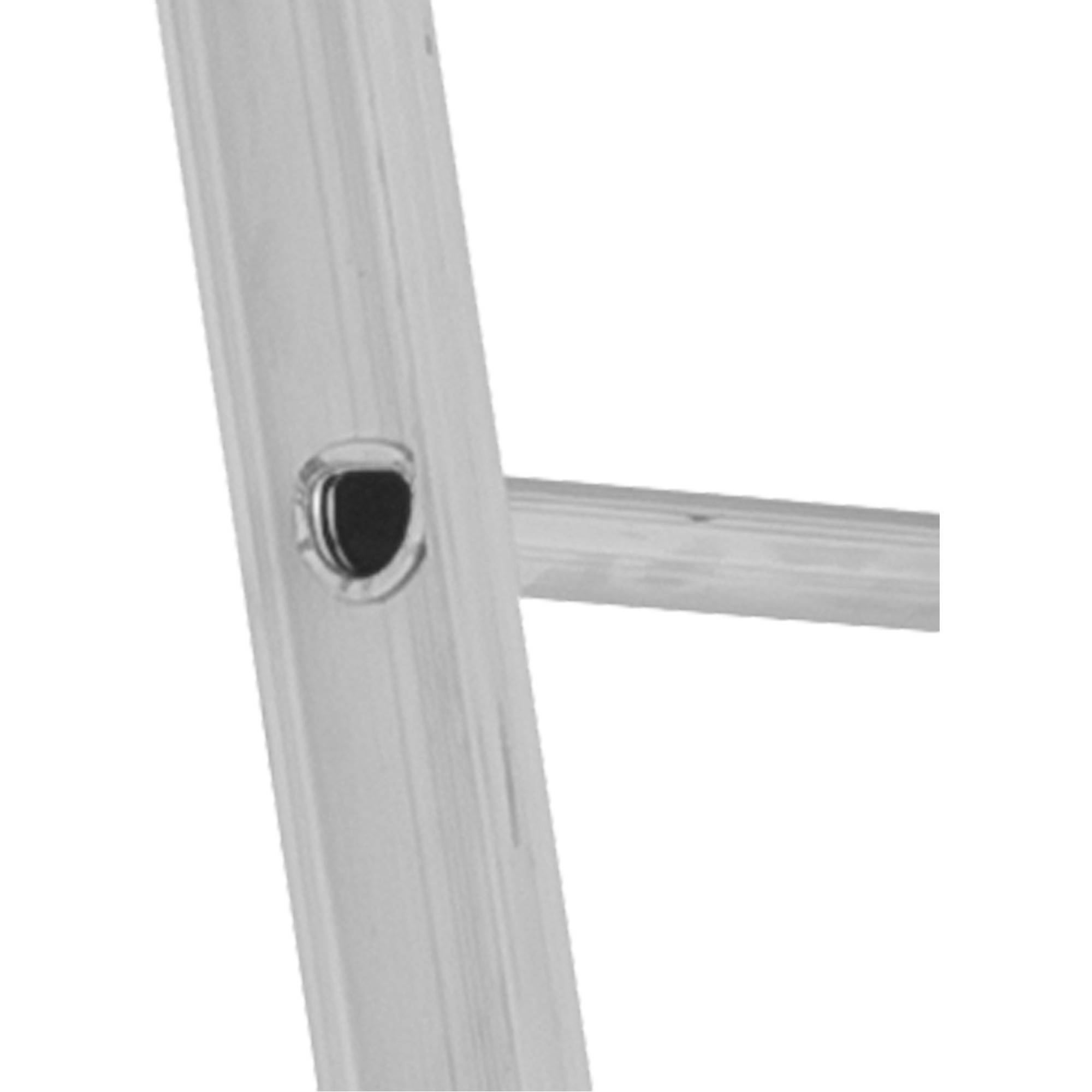 Featherlite Industrial Heavy-Duty Extension/Straight Ladders, 16 ...